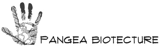 Pangea Podcast Episode 6: Waste Water Treatment - Pangea Biotecture